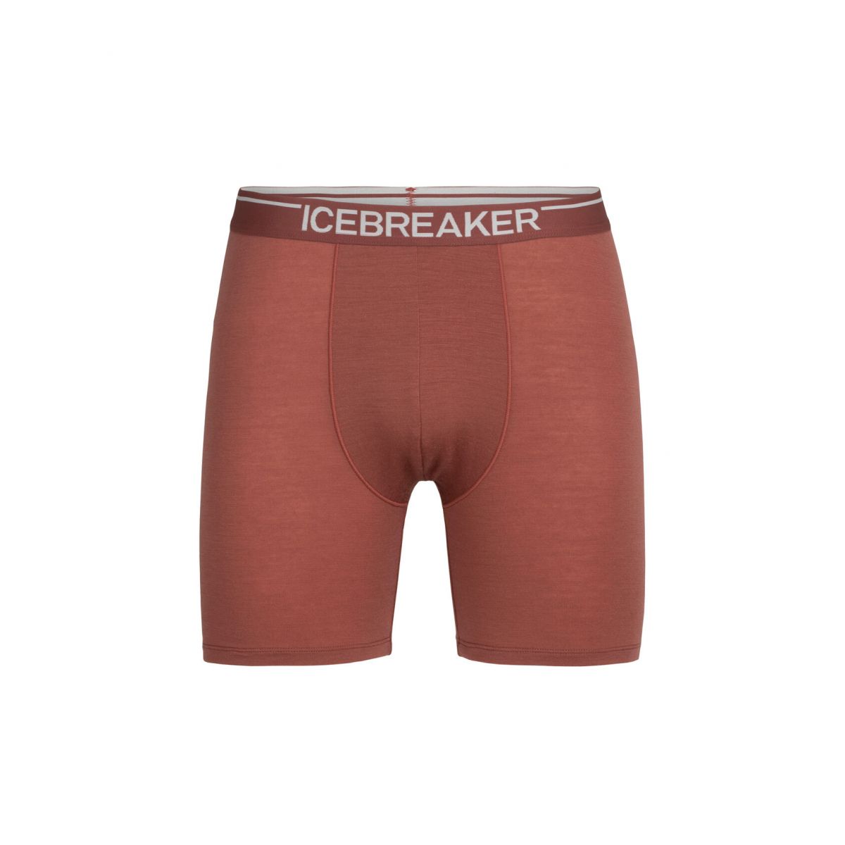 Bokserki ICEBREAKER ANATOMICA LONG BOXERS / GRAPE GRAPE - Sklep Polarsport