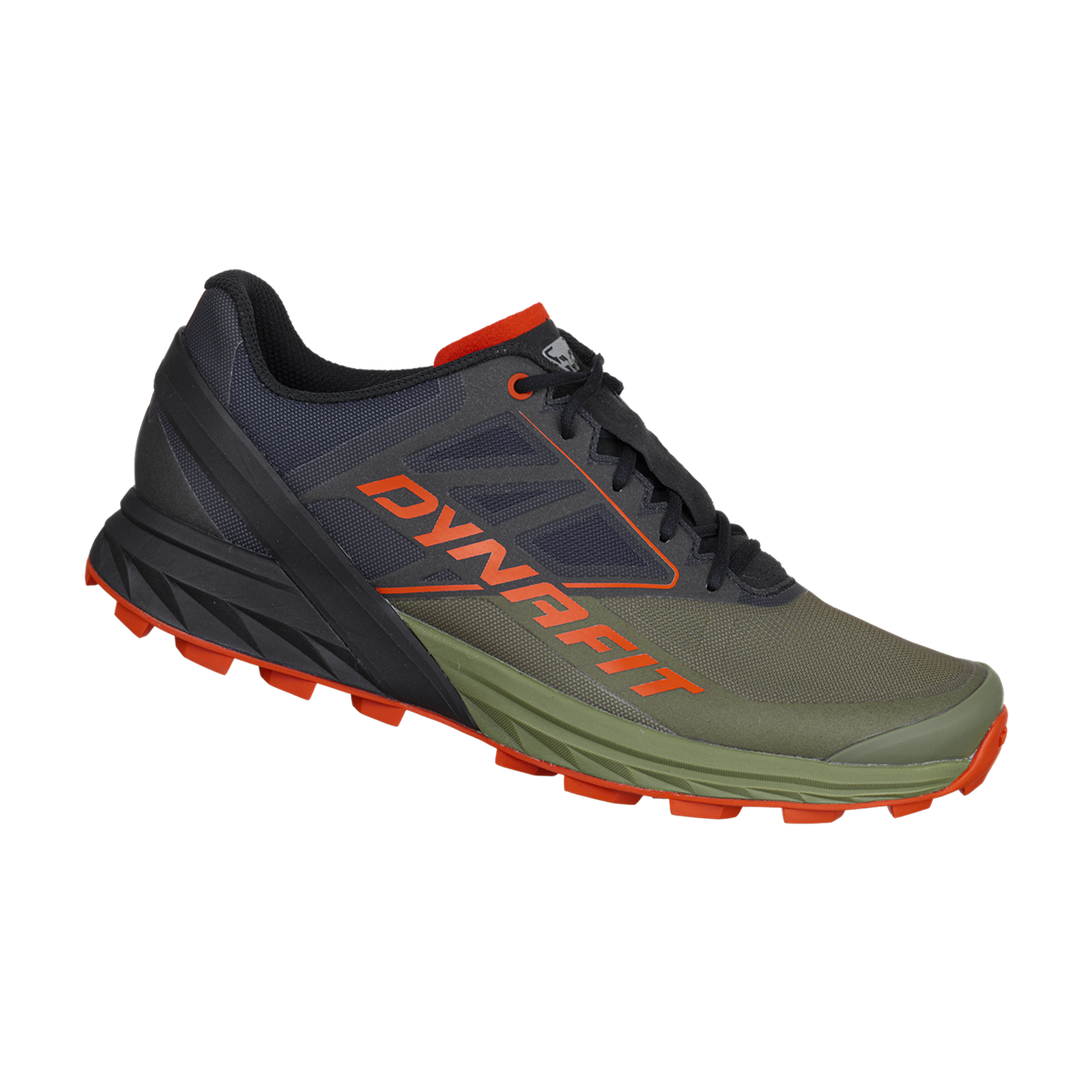 Buty męskie biegowe DYNAFIT ALPINE / WINTER MOSS-BLACK OUT- sklep ...