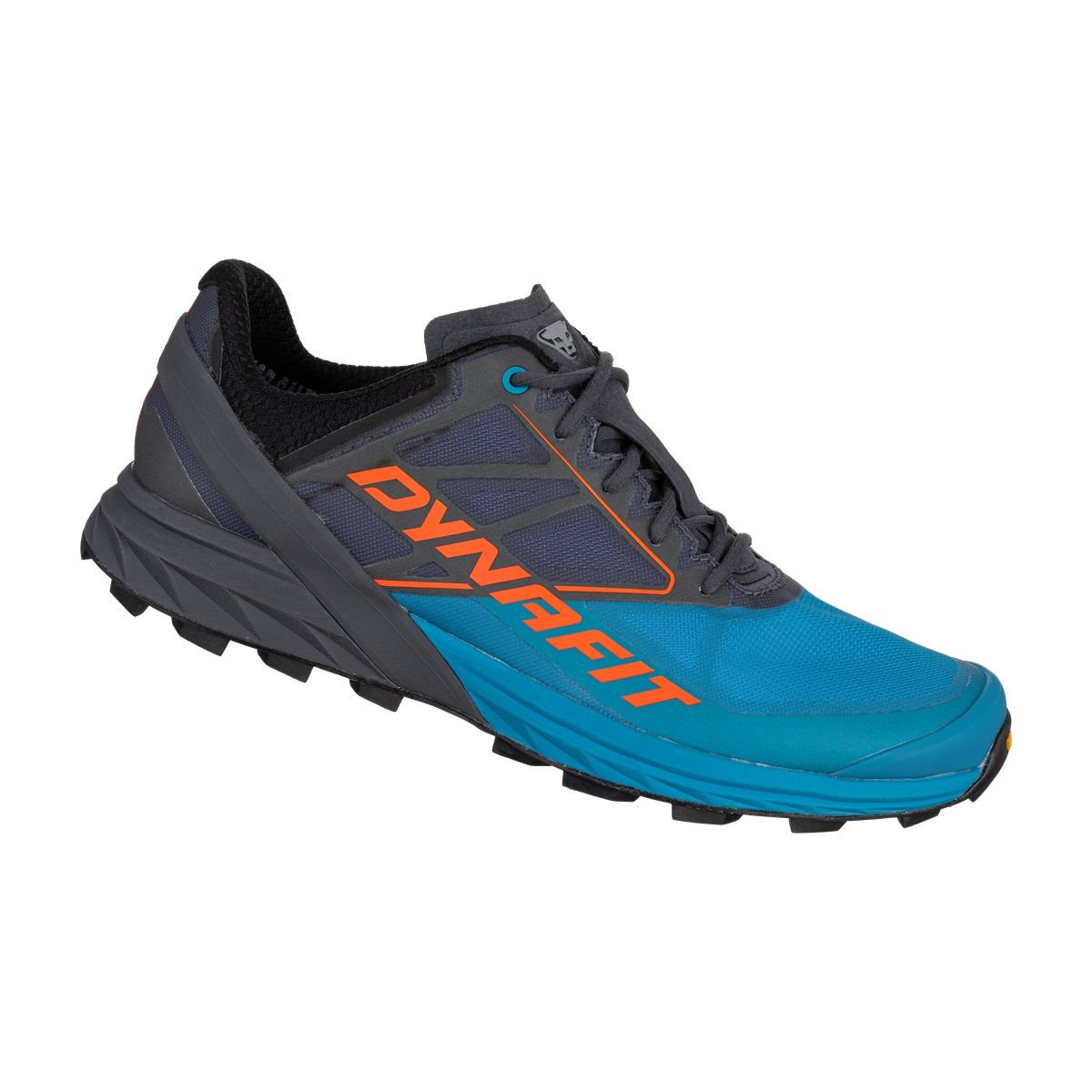 Buty DYNAFIT ALPINE (08-0000064064) MAGNET-FROST - sklep Polarsport